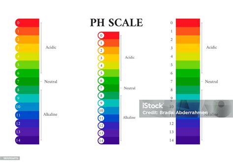 Ph 스케일 그래픽 세트 리트머스 지표 종이 벡터 일러스트 레이 션의 산성의 스케일 0명에 대한 스톡 벡터 아트 및 기타 이미지 0명 건강관리와 의술 과학 Istock