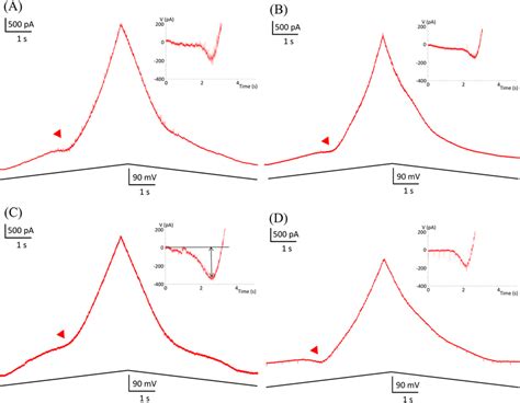 Comparison Of Persistent Inward Currents Pics In Wild Type And Download Scientific Diagram