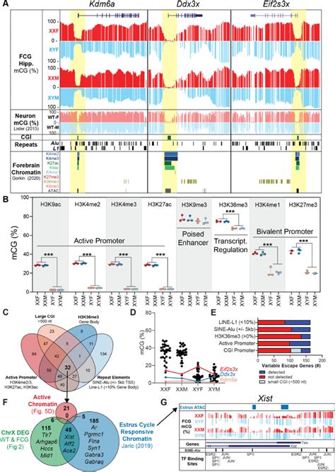 Differential Regulation Of Mouse Hippocampal Gene Expression Sex Differences By Chromosomal