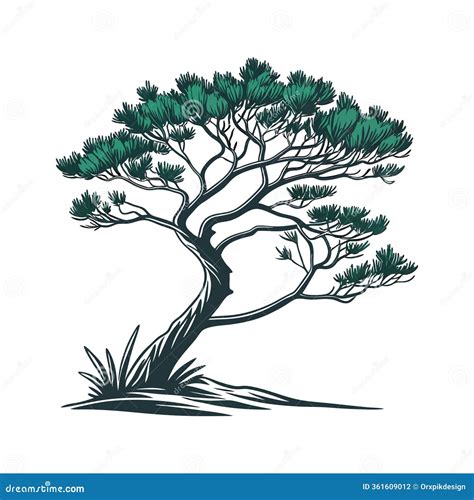 3d Illustration Of Juniperus Sabina Snow Covered Tree Isolated On Black