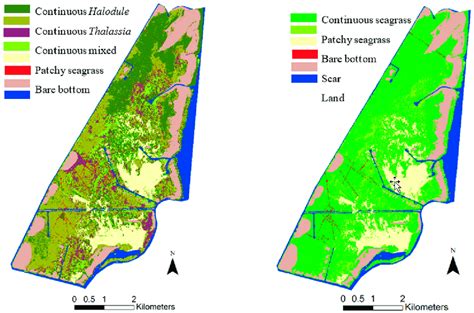 The 5 Class Map Left And 3 Class Map Right Of Seagrass In The
