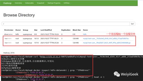 Datax开源项目异构数据源间数据同步mysql与hdfs相互同步实战2 墨天轮
