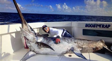International Fishing News Usa 493 Lb Swordfish Caught Off Texas Coasts