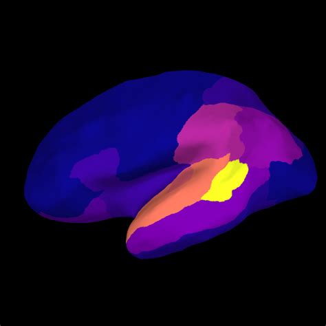 Source Level Rsa Using Rois — Mne Rsa 010 Documentation