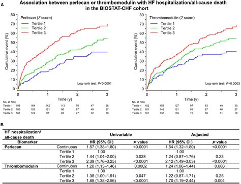Association Between Endothelial Alterations Cardiac Function And Outcomes From Health To Heart