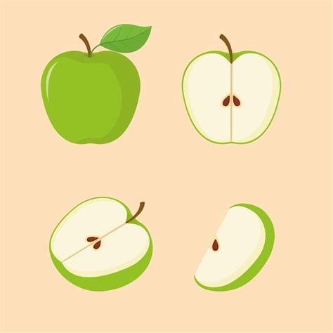 Premium Vector Set Fresh Green Apple Slices