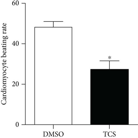 Stages Of Heart Development A Schematic Of Cardiac Morphogenesis In