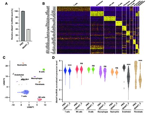 Scrna Seq Analysis Of Mouse Lung After Intratracheal Administration Of Download Scientific