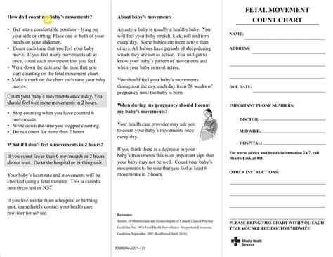 Fetal Movement Count Chart Download Printable Pdf Templateroller