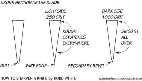 Spasms Of Accommodation How To Sharpen A Knife