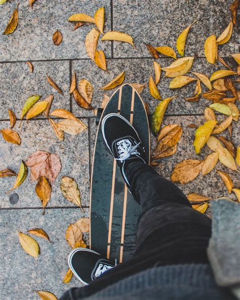 Skater Aesthetic Wallpapers · 190 Backgrounds 🛹🔥😎