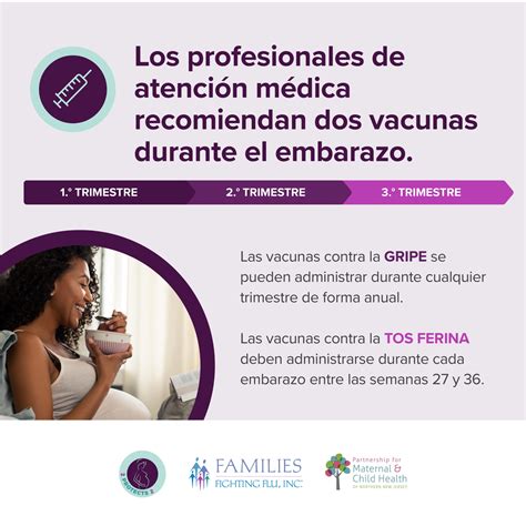 Vacunas Durante El Embarazo Families Fighting Flu