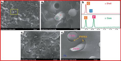 Sem Micrographs Of Cryo Fractured Surfaces Of A Ps Pmma Pvdf Download Scientific Diagram