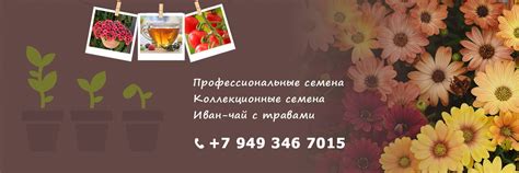 Pro семена в Донецке ДНР Продажа профессиональных семян цветов и