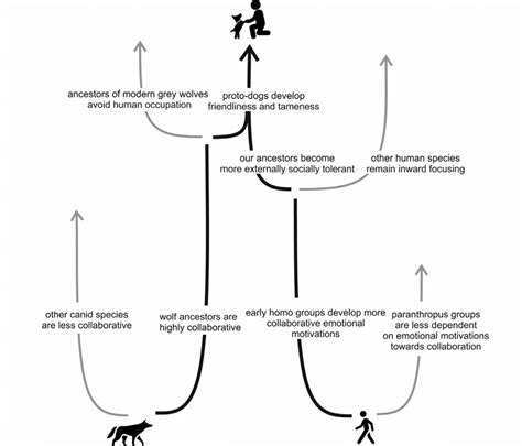 10 Illustration Showing Evolutionary Convergence Of Elements Of Human