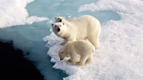 Are The Effects Of Global Warming The Same Around The World