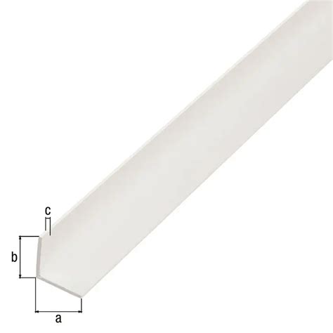 Alberts Winkelprofil 2 600 X 20 X 10 Mm Stärke 1 5 Mm Kunststoff
