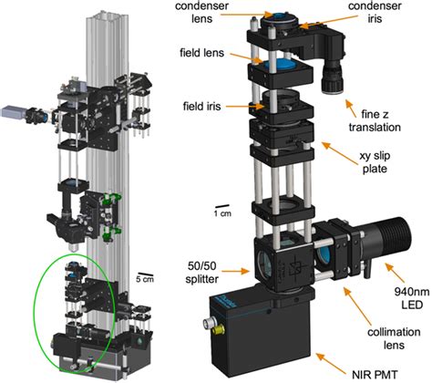a high performance cost effective open source microscope for scanning two photon microscopy that