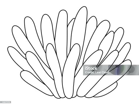 벡터 흑백 말미잘 아이콘입니다 귀여운 악티니아 해초가 있는 바다 선 그림 아래 해양 식물 클립 아트입니다 만화 수중 또는 해양 클립 아트 어린이를 위한 색칠 공부 페이지 0