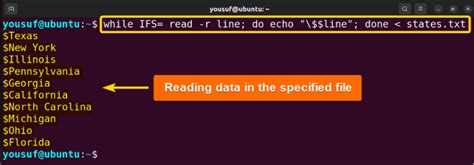 The Read” Command In Linux 8 Practical Examples Linuxsimply