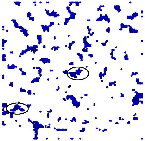 A A Top View Of One Leaflet Of Dppc Dopc Chol Bilayer System Download Scientific Diagram