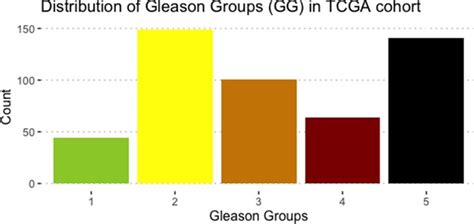 Patient Specific Boolean Models Of Signalling Networks Guide