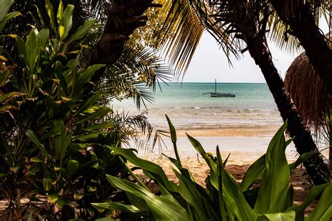 Fun Facts About Mozambique Zula Travel