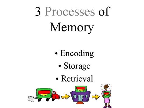Cognition Processes Of Memory Encoding Storage Retrieval