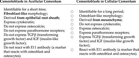 Comparison Of Cementoblasts In Acellular And Cellular Cementum Amended Download Scientific
