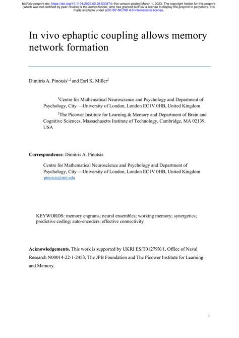 Pdf In Vivo Ephaptic Coupling Allows Memory Network Formation