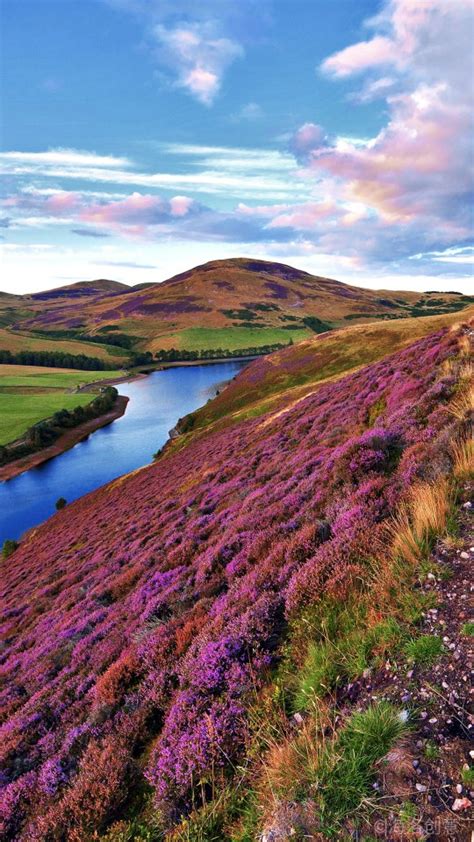 屏保 高清图片，堆糖，美图壁纸兴趣社区