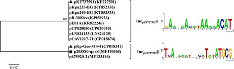 Characterization Of The Plasmid Of Incompatibility Groups Incfiipkf727 Idr