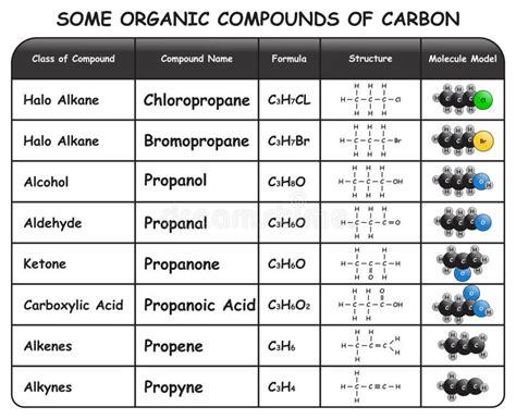Some Organic Compounds Of Carbon Infographic Diagram Stock Vector