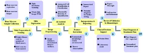 Ai Powered Hematological Diagnosis Workflow Download Scientific Diagram