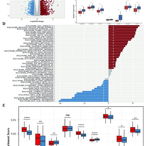 Distinct Transcriptomic Features Between Two Liver Cancer Metabolic Download Scientific Diagram