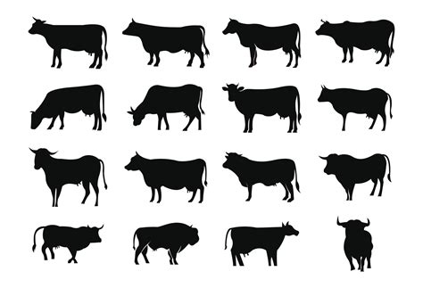 Cow Grazing On Meadow Cow Silhouette In Field Eating Grass Vector Cow Icon Or Logo For Farm