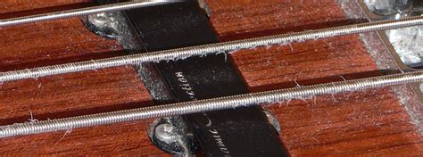 Elixir Bass Strings Six Months Later Riff Blog