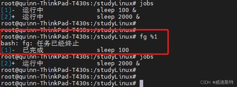 Linux命令：用于将后台运行的作业（进程）带到前台执行的命令fg详解linux Fg命令 Csdn博客