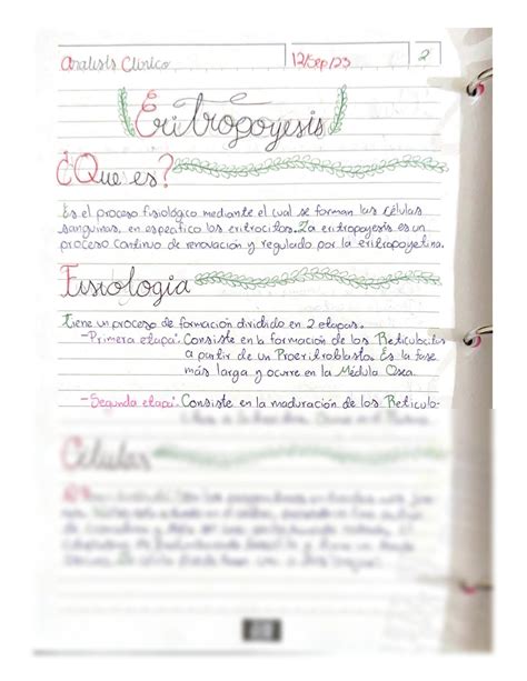 SOLUTION Eritropoyesis An Lisis Clinicos De El Cuerpo Humano Studypool