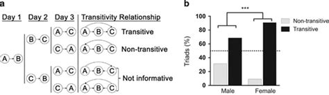 Sex Specific Mechanism Of Social Hierarchy In Mice PMC