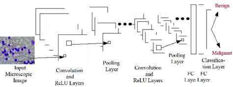 Conventional Cnn Architecture Download Scientific Diagram