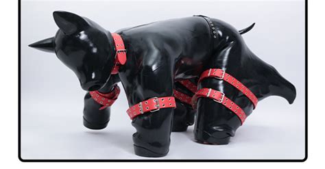 Silicone Long Ears Dog Drone Hoodpuppy Gimp Suit