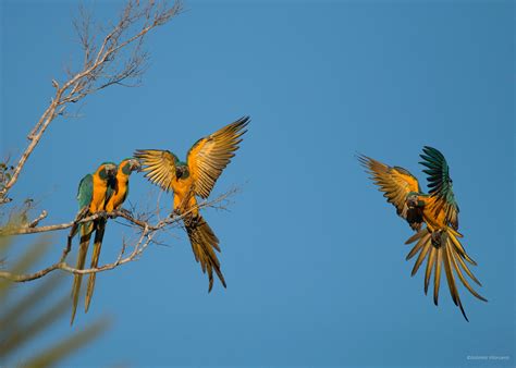 Plataforma Plataforma Nacional De Suelos Bolivia