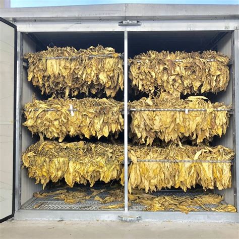 Tobacco Tet International Development