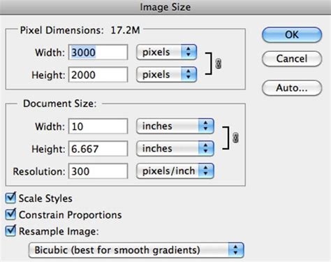 Full Guide How To Increase Image Size Without Losing Quality