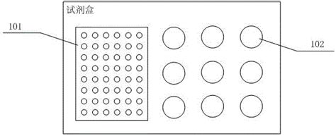 Kit And Detection Method For Detecting Porcine Reproductive And Respiratory Syndrome Virus