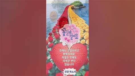 행복한 아침 환절기에 건강관리 잘 하시길 바랍니다 행복하세요 화이팅 Youtube