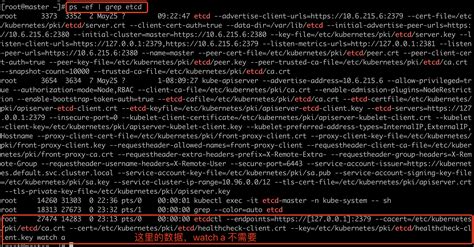 k8s etcd 基本操作 邹邹很busy。 博客园