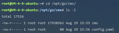 Ubuntu 部署 Ginvue 前后端分离项目 惜寞的无人小间 Ubuntu 部署 Ginvue 前后端分离项目 惜寞的无人小间
