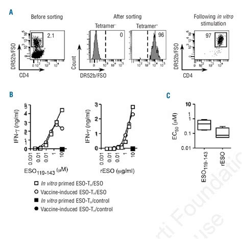 Figure 3 From Mhc Class Ii Eso Tetramer Based Generation Of In Vitro Primed Anti Tumor T Helper